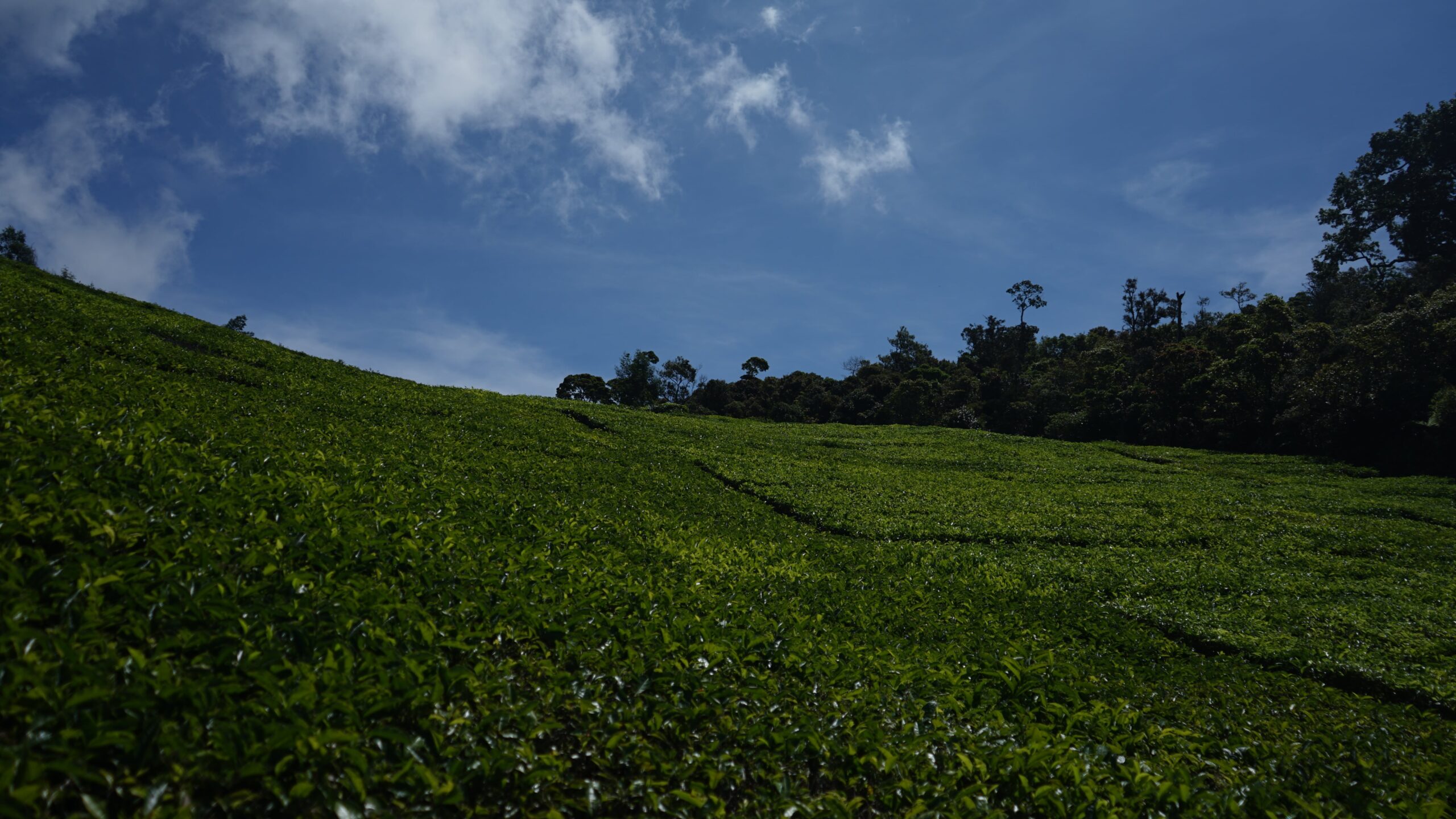 2 Weeks In Java, Indonesia: The Best Java Itinerary