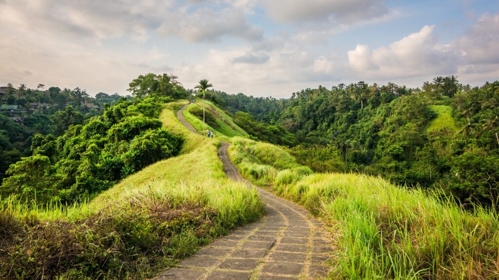 The 16 Best Things To Do in Ubud (2025)