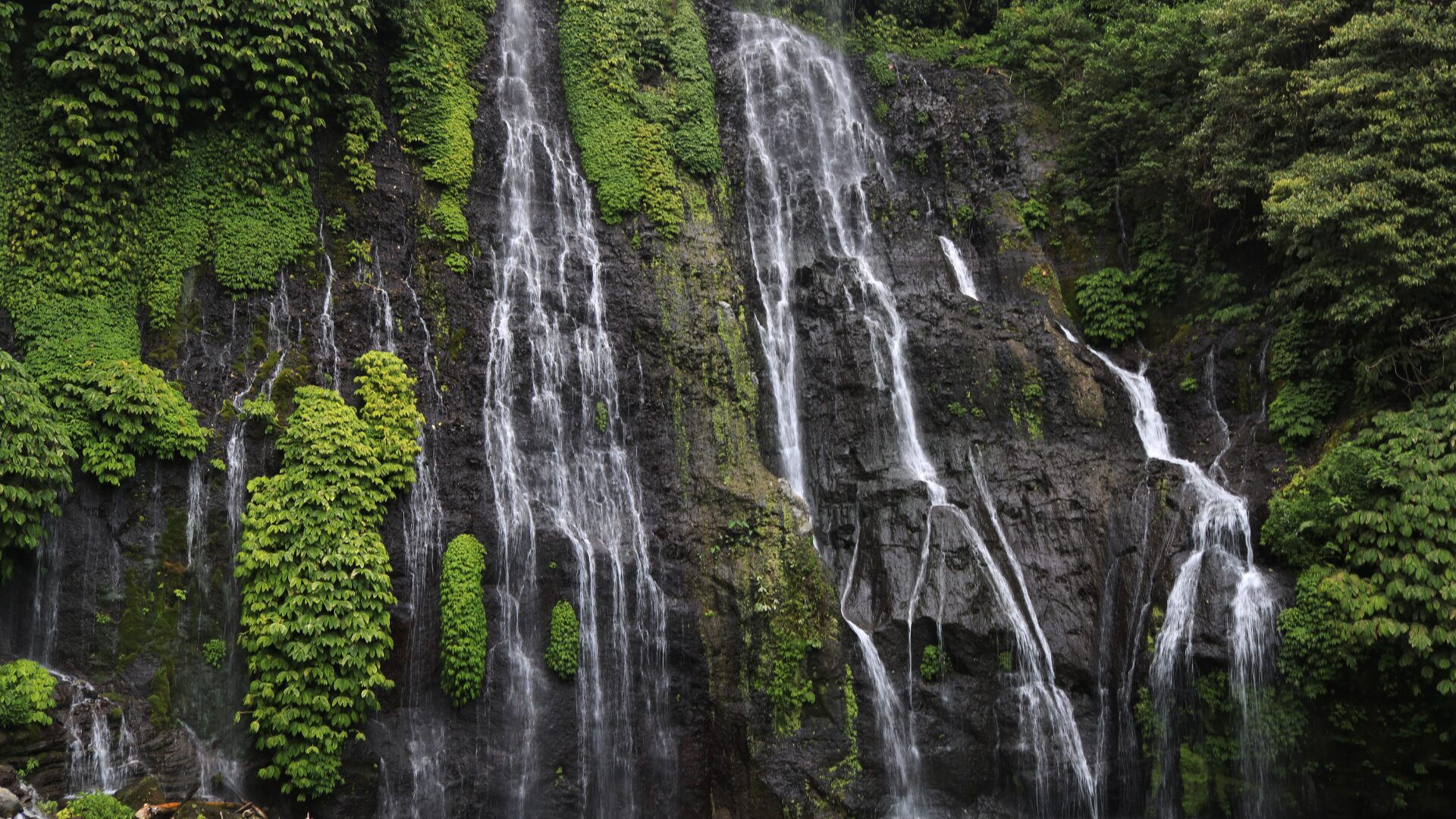 The 16 Best Things To Do in Ubud (2025)